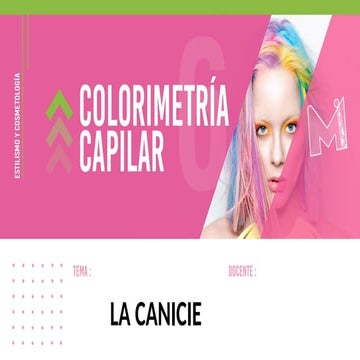 COLORIMETRIA CAPILAR / LA CANICE, TIPOS, CUIDADOS | PPTX