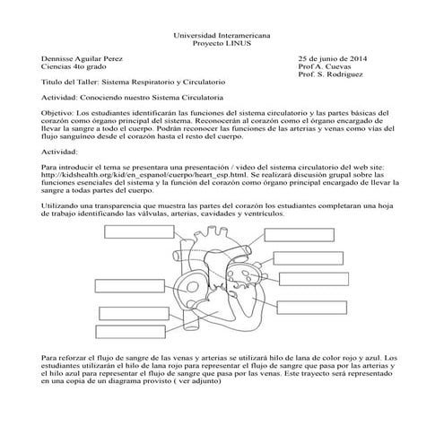 Actividad de sistema circulatorio | PDF