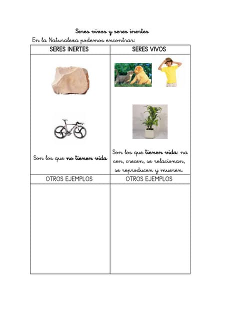 Los seres vivos objetos inertes ppt | PPT