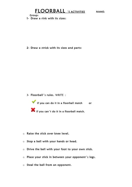 Floorball Rules pics | PDF