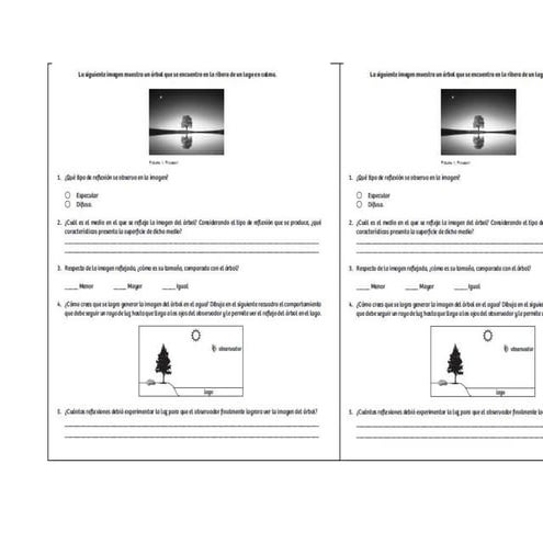 Actividad espejo plano | DOCX