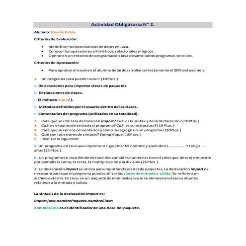 Actividad Obligatoria N° 2 | DOCX | Programming Languages | Computing