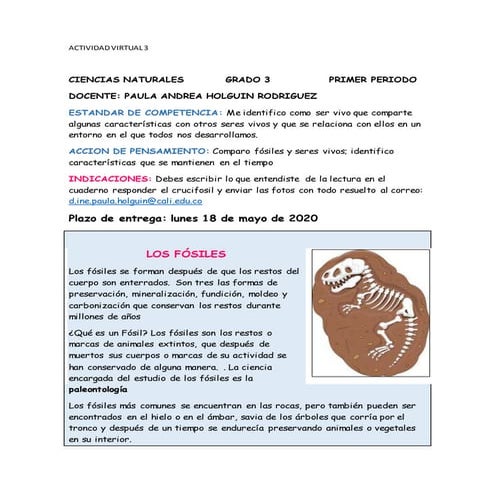 ACTIVIDAD VIRTUAL 3- CIENCIAS TERCERO | DOCX