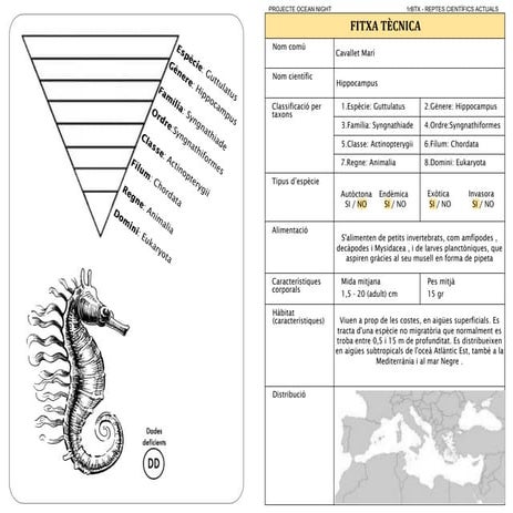 Ficha tecnica sobre el caballito de mar | PDF