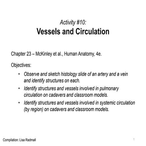 Activity 10-vessels-circulation | PPTX