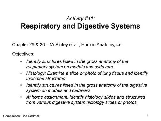 Digestive System Histology | PPT