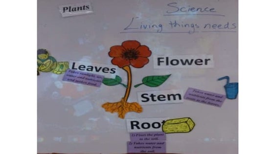 How do living things interact? | PPT