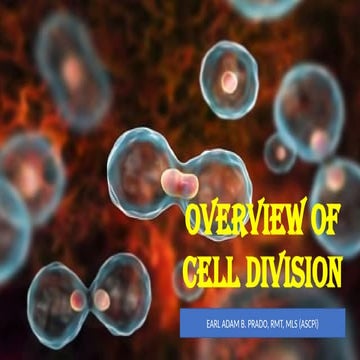 Activity-2-Cell-Divisioooooooooooon.pptx