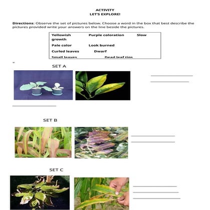 TESDA-OP-CO-05_Competency_Assessment Forms.pdf