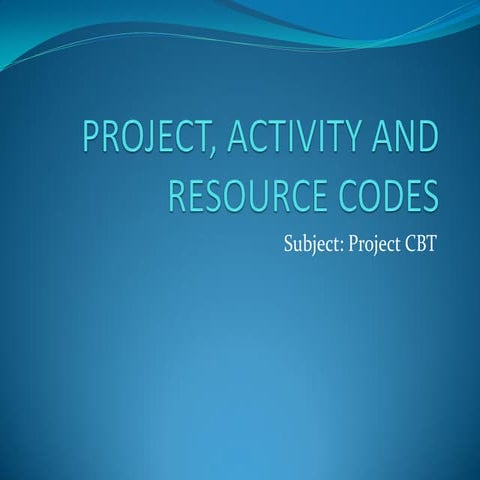 Primavera Project Activity-Codes and Scheduling | PDF
