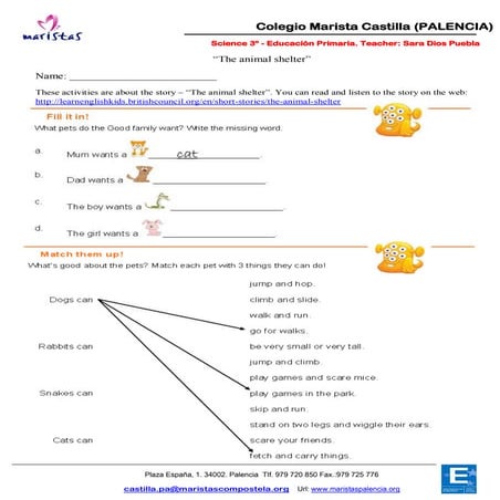 Activity 1 the animal shelter | PDF