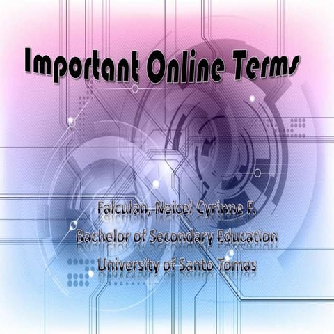 Common Online Terminologies | PPT