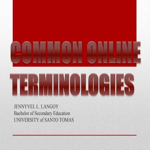 Activity 13 common online terminologies | PPTX