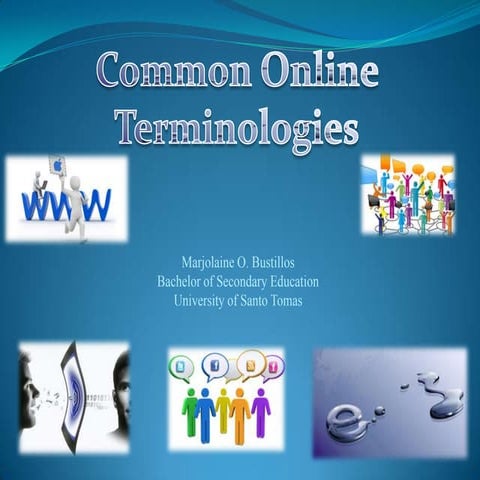 Activity 13 Common Online Terminologies | PPT