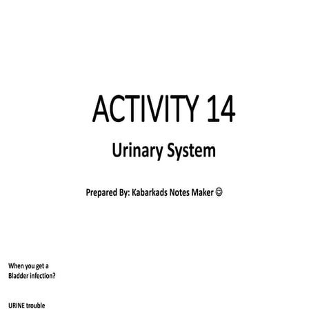 Urinary System | PPTX