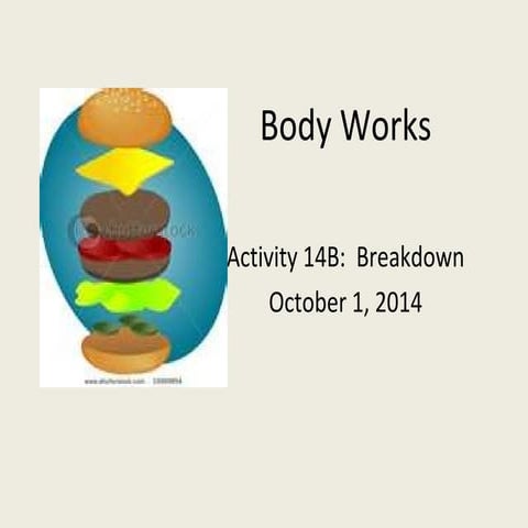 Activity 14 b breakdown | PPT