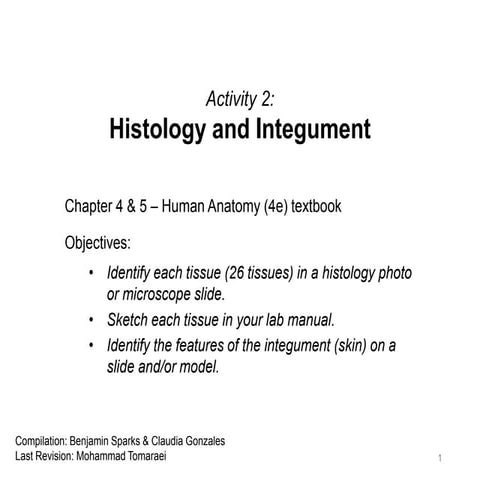 Epithelium histology | PPT