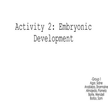 Activity 2 embryonic development | PPT