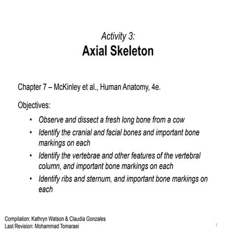 Activity 3 - Axial Skeleton | PPTX