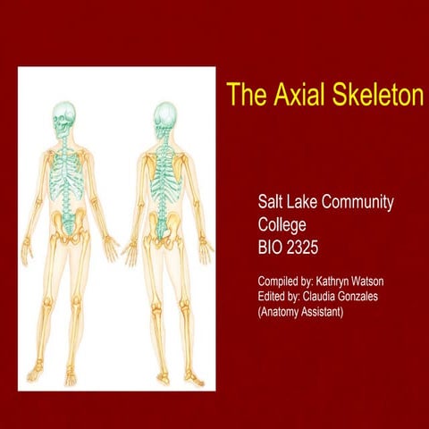 Activity 3 axial skeleton | PPT