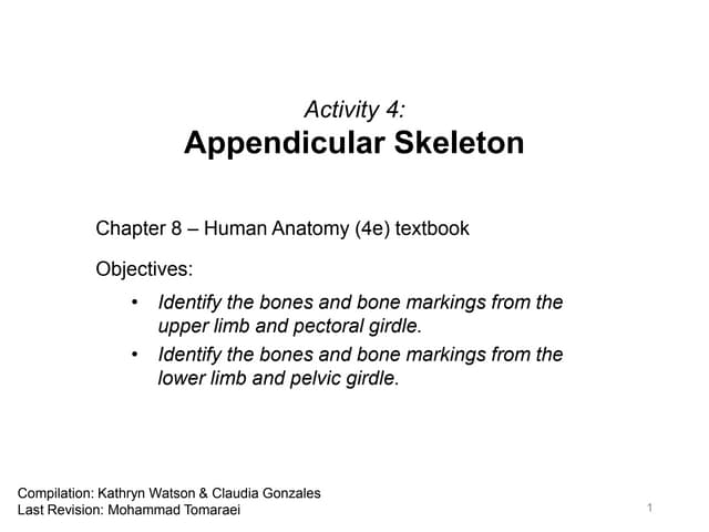 Appendicular skeleton | PPTX