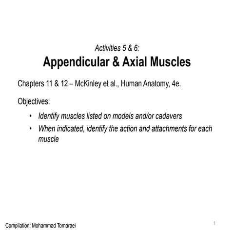 Activities 5/6 - Appendicular & Axial Muscles | PPTX