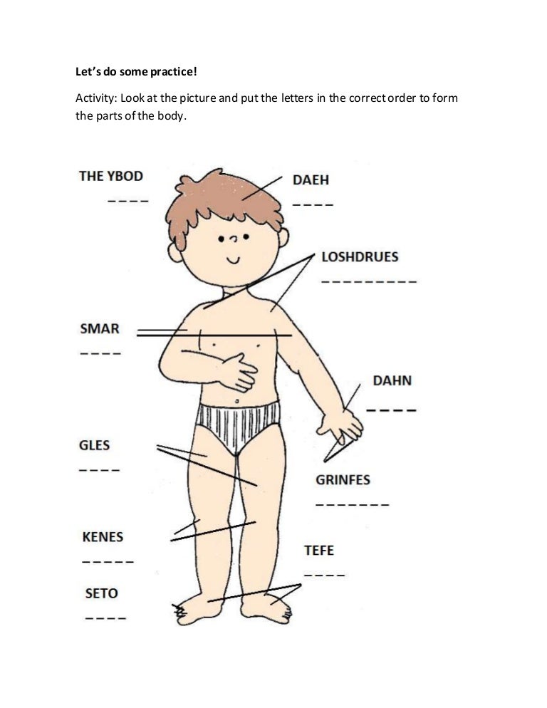 Activity Parts Of The Body Lesson Plan 4 Activity Parts Of The Body Lesson Plan 4