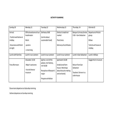 Activity planning | PPT