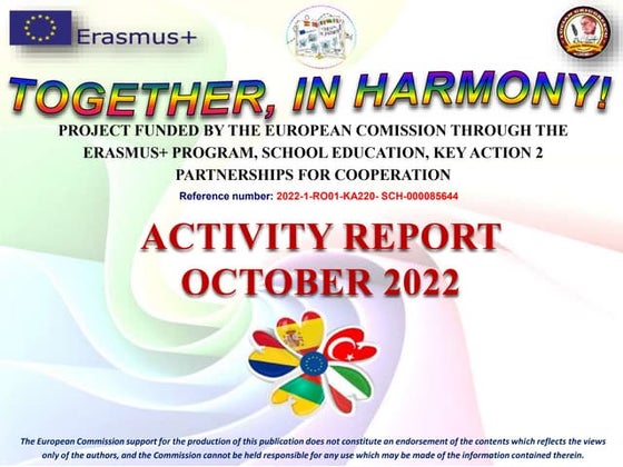 Illustrative activity report - November 2022 | PPT
