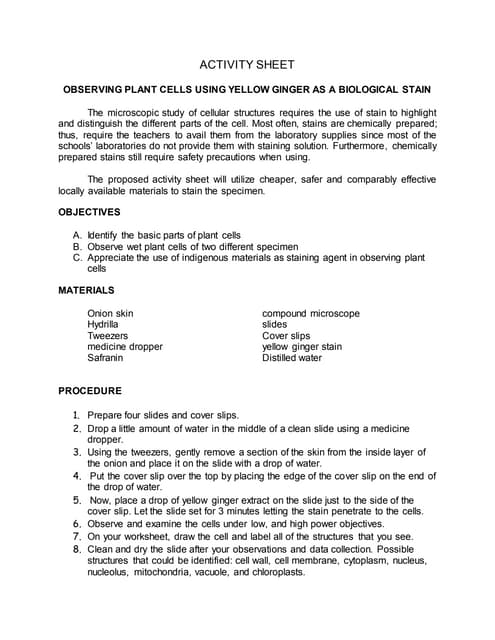 Onion and cheek cell lab | DOC | Biological Sciences | Science