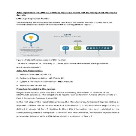 Actor registration to eudamed | PDF
