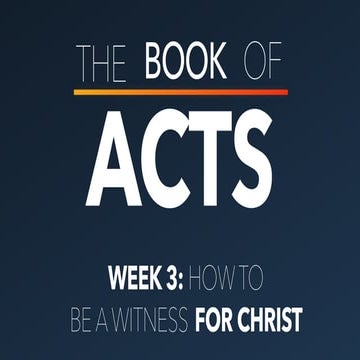How to Be a Witness for Christ (Acts 3) | PDF