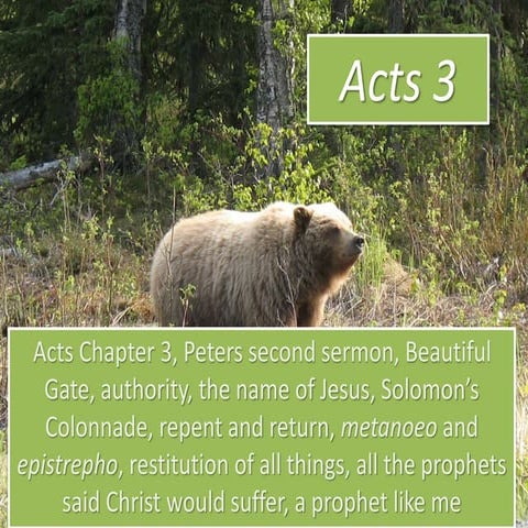 Acts 3, Beautiful Gate, authority, the name of Jesus, Solomon’s ...