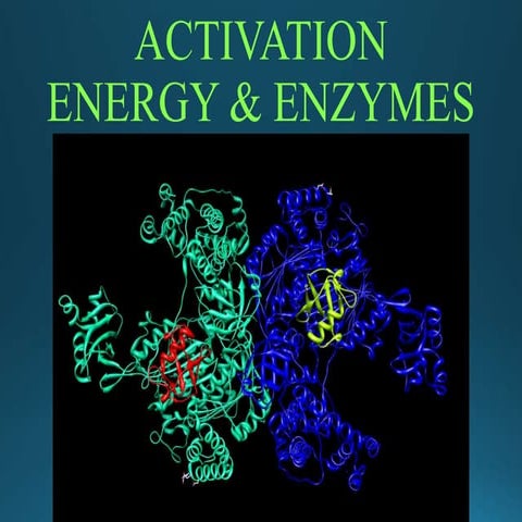 Actvation energy and enzymes | PPTX