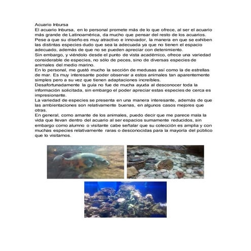 Acuario inbursa | DOCX