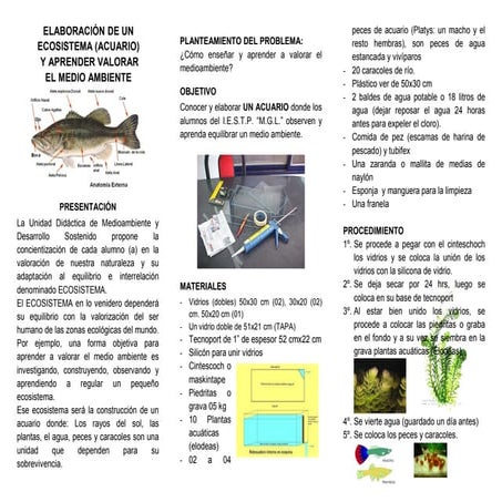 Acuario triptico | PDF