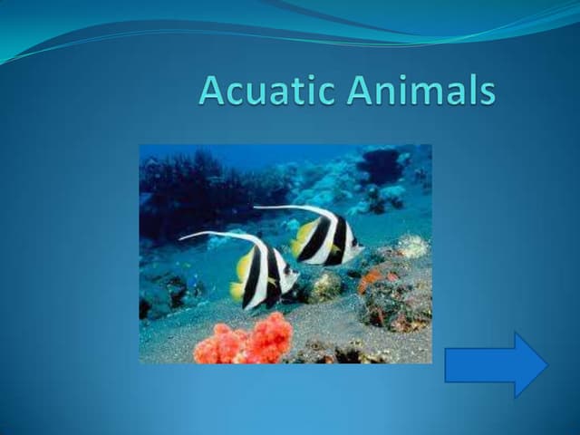 List of regular/ irregular verbs | PDF