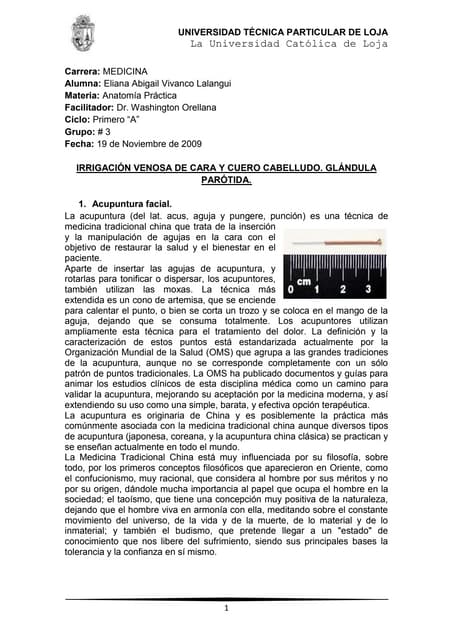 Lineas De Tension De Langer | PDF