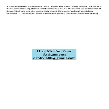 A custom automotive license plate of NULL was issued for a.pdf