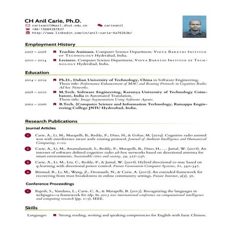 A customised cur_ve_cv (1) | PDF