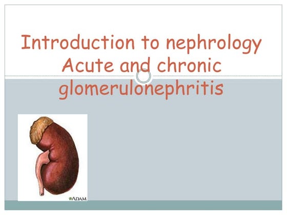 Nephritic syndrome - Medicine - RDT | PPT