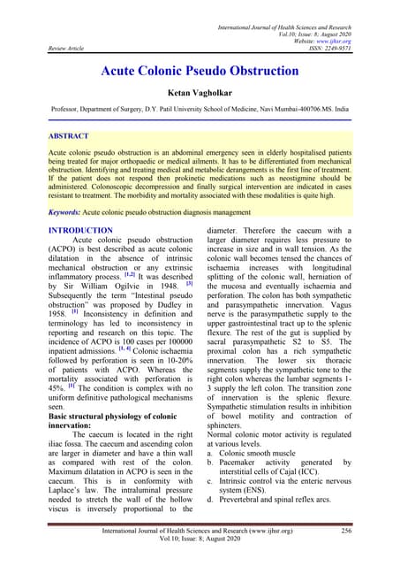 Rx for Overactive Bladder | PDF