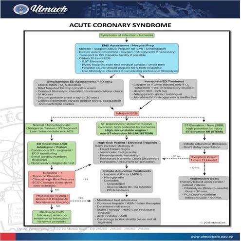 Acute coronary syndrome algorithm | DOCX