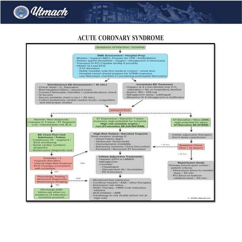 Acute coronary syndrome algorithm | DOCX