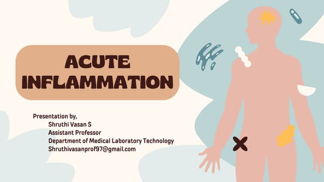11 cellular & vascular events in acute inflammation | DOC | Blood Disorders | Diseases and ...