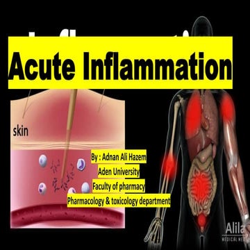 Acute Inflammation- for pharmacy students | PDF