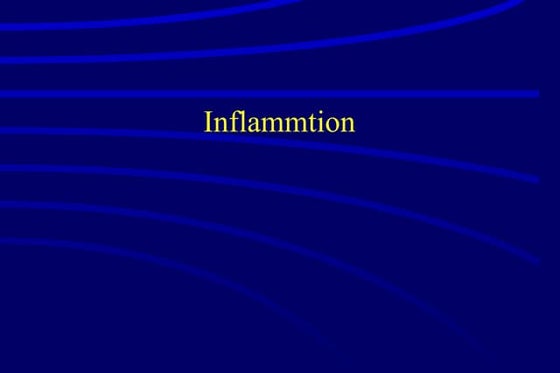 11 cellular & vascular events in acute inflammation | DOC | Blood Disorders | Diseases and ...