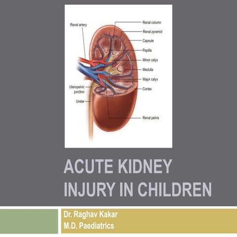 Acute Kidney Failure in children.pptx