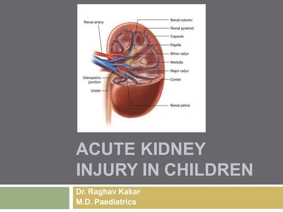 Paediatric acute renal failure | PPT