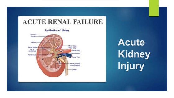 Acute_Kidney_Injury_Presentation.pptx medicine | PPT
